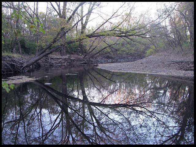 The Cricket Fiddle Instrument Co.- Madelia, Minnesota